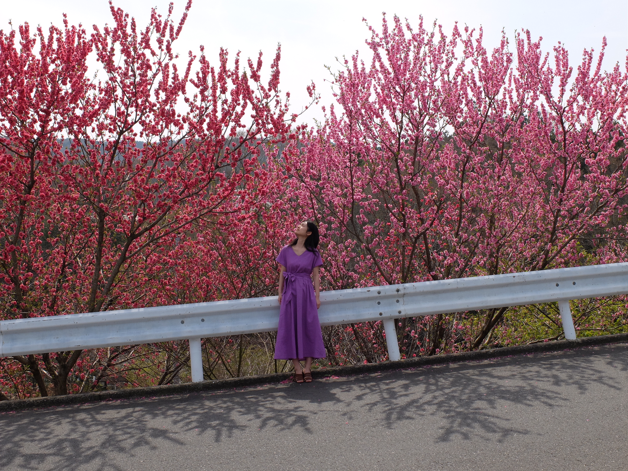 blt graph.vol.31 乃木坂46・寺田蘭世オフショットを公開！ | B.L.T.web